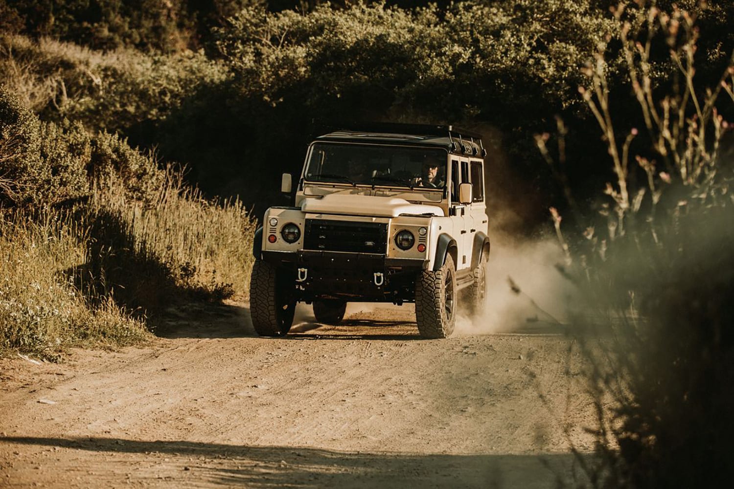 Himalaya Defenders | CYTIES